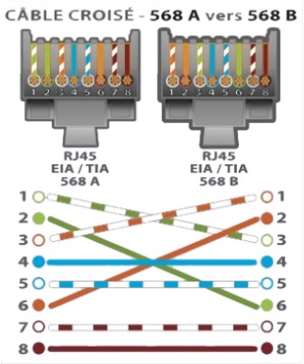 Xeilom - cordon rj45 cat.6 u/utp pvc croisé non-blindé 10m rouge